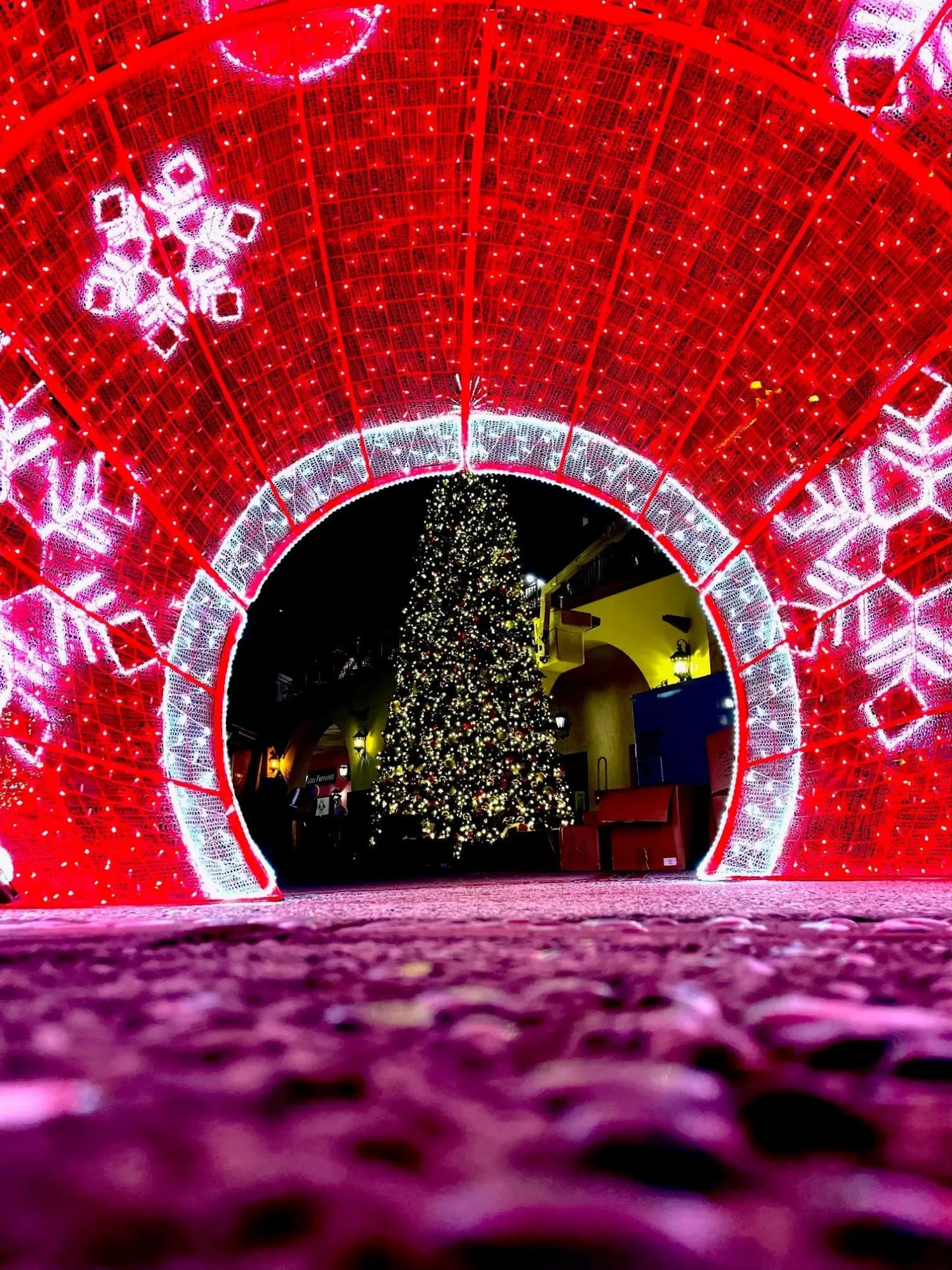 Large Lit Displays with 12ft Gift Boxes and Snowflakes – St. Nicks ...