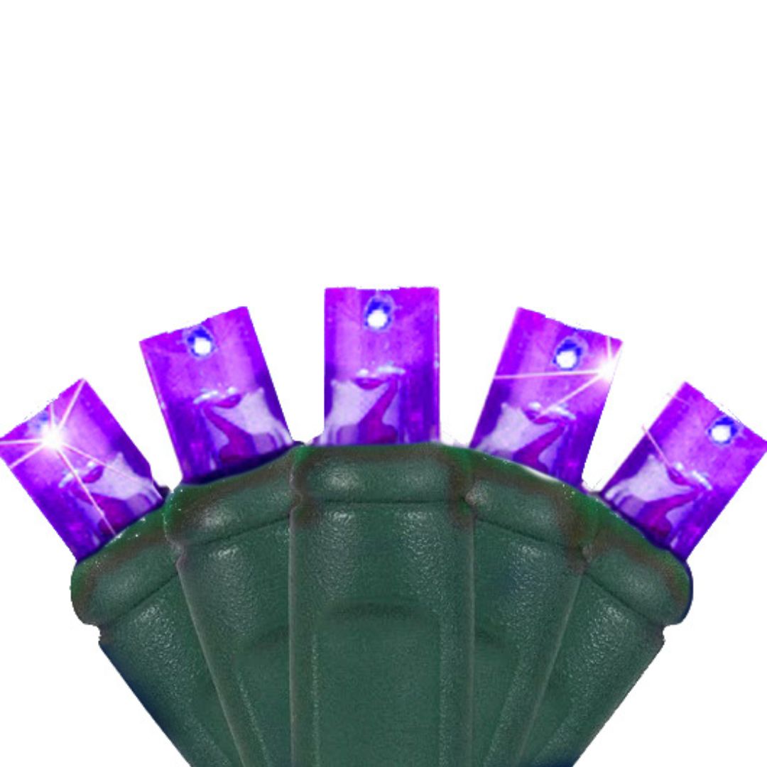 Save Energy Mini Lights Available @St Nick's Christmas lighting – St ...